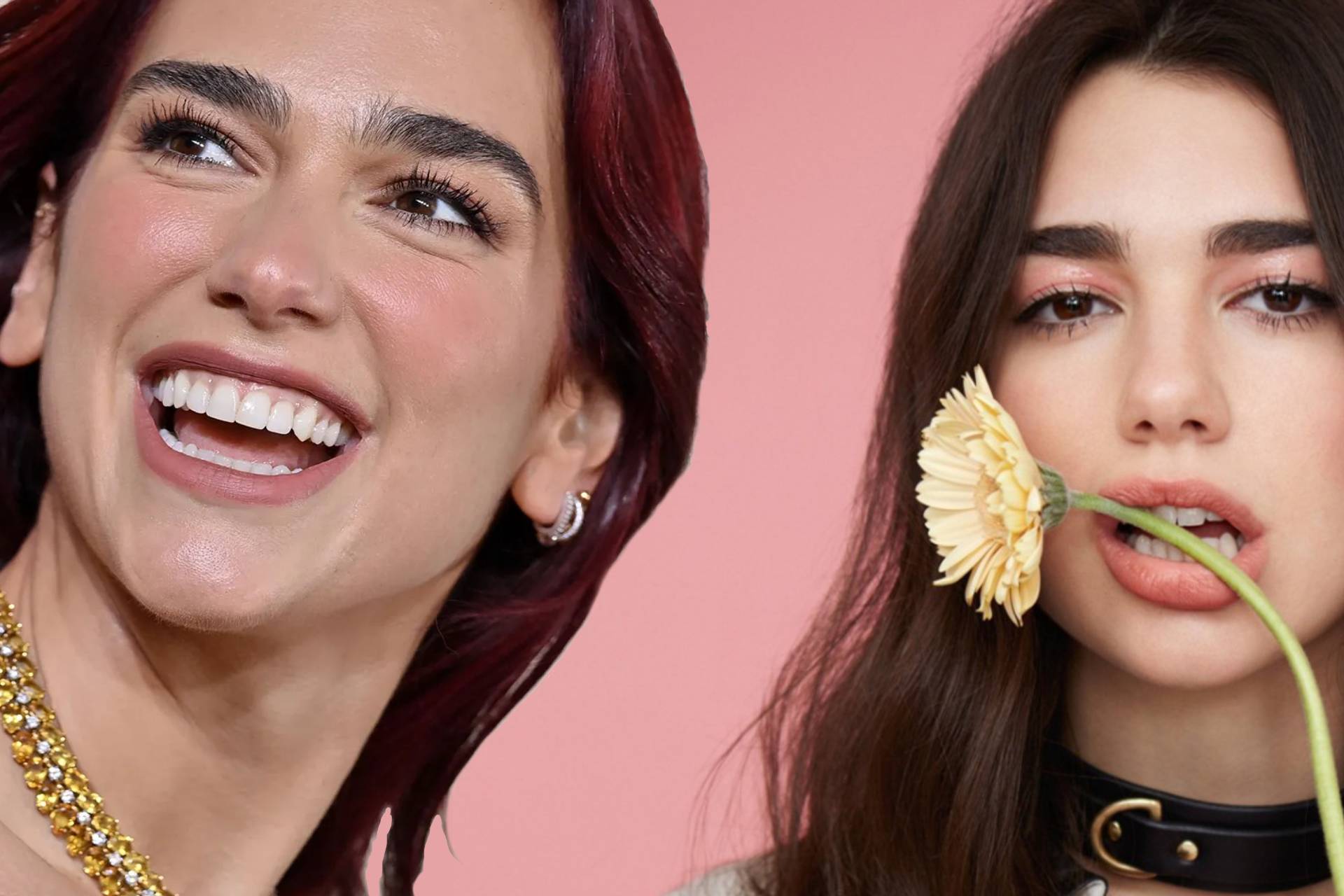 Does Dua Lipa Have Dental Veneers on Her Teeth? - Antalya Dent Smile